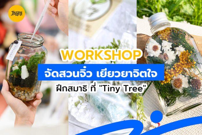 Workshop จัดสวนจิ๋ว เยียวยาจิตใจ ฝึกสมาธิ ที่ "Tiny Tree"