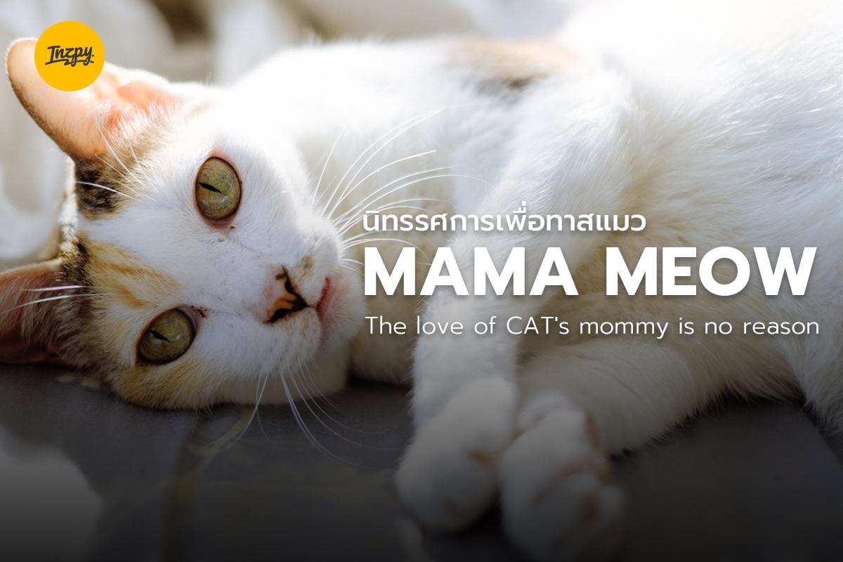 MAMA MEOW นิทรรศการเพื่อทาสแมวโดยเฉพาะ